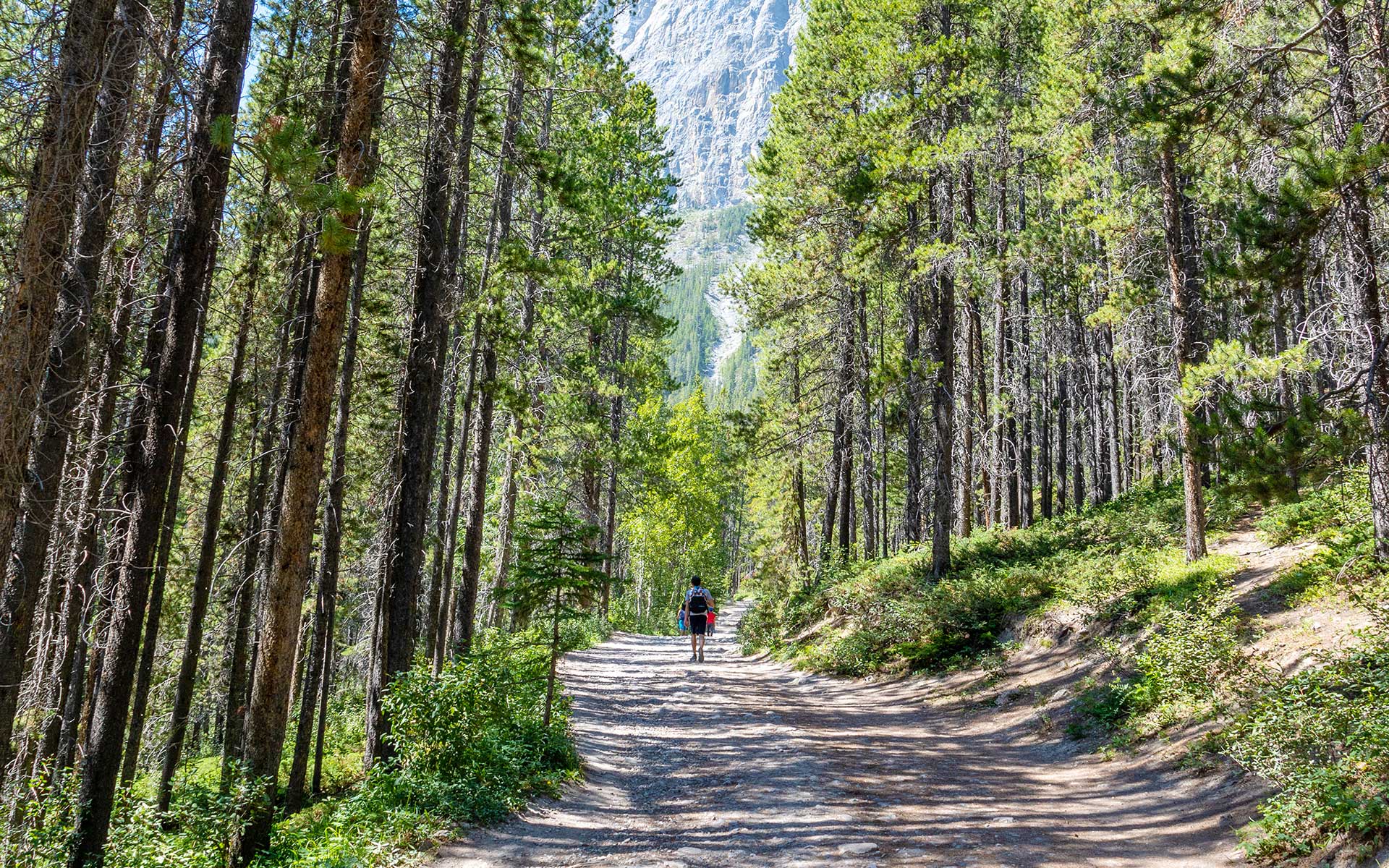 Our favourte hikes for fitness-III | Alberta Blue Cross®